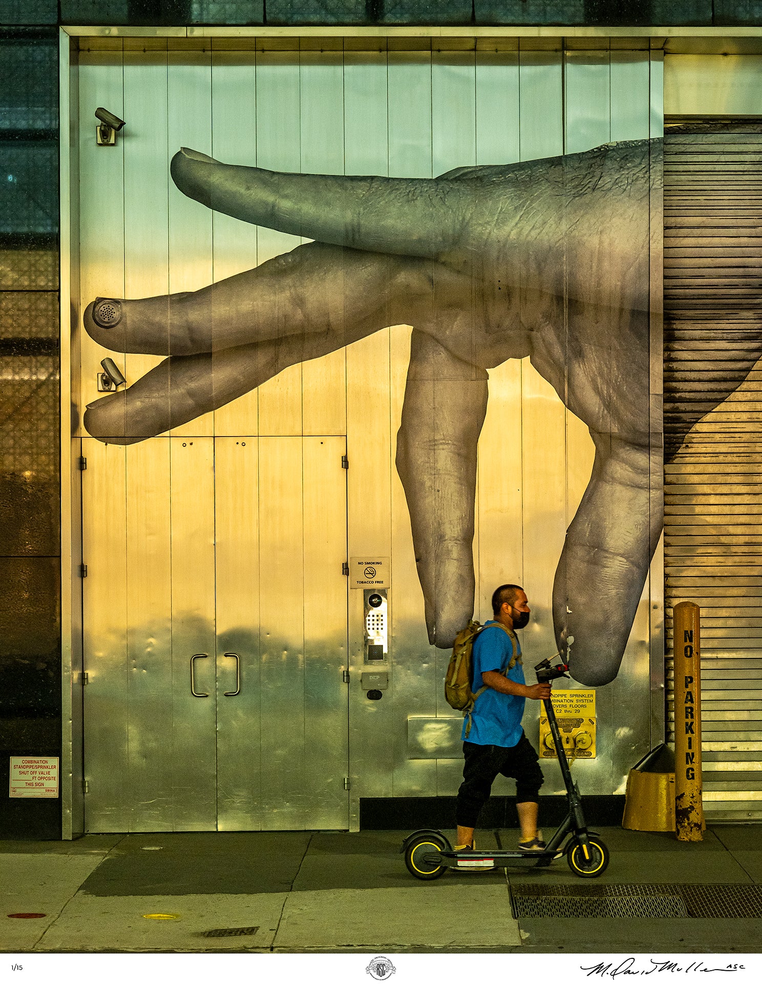 David M Mullen, ASC • Plucked Bird-Midtown Manhattan - 2024 – ASC/AC Store