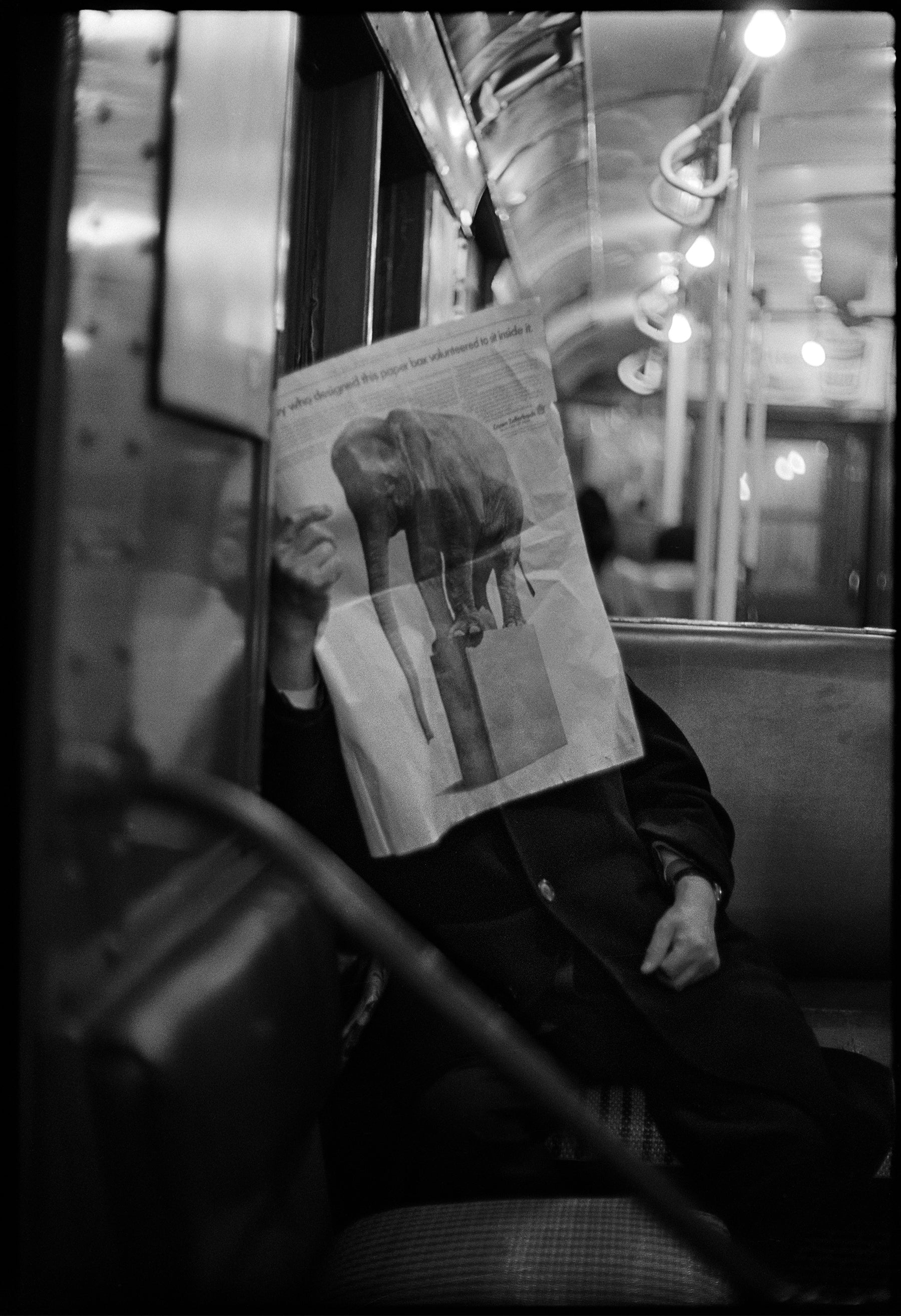 Ernest Holzman, ASC • Elephant Man – ASC/AC Store